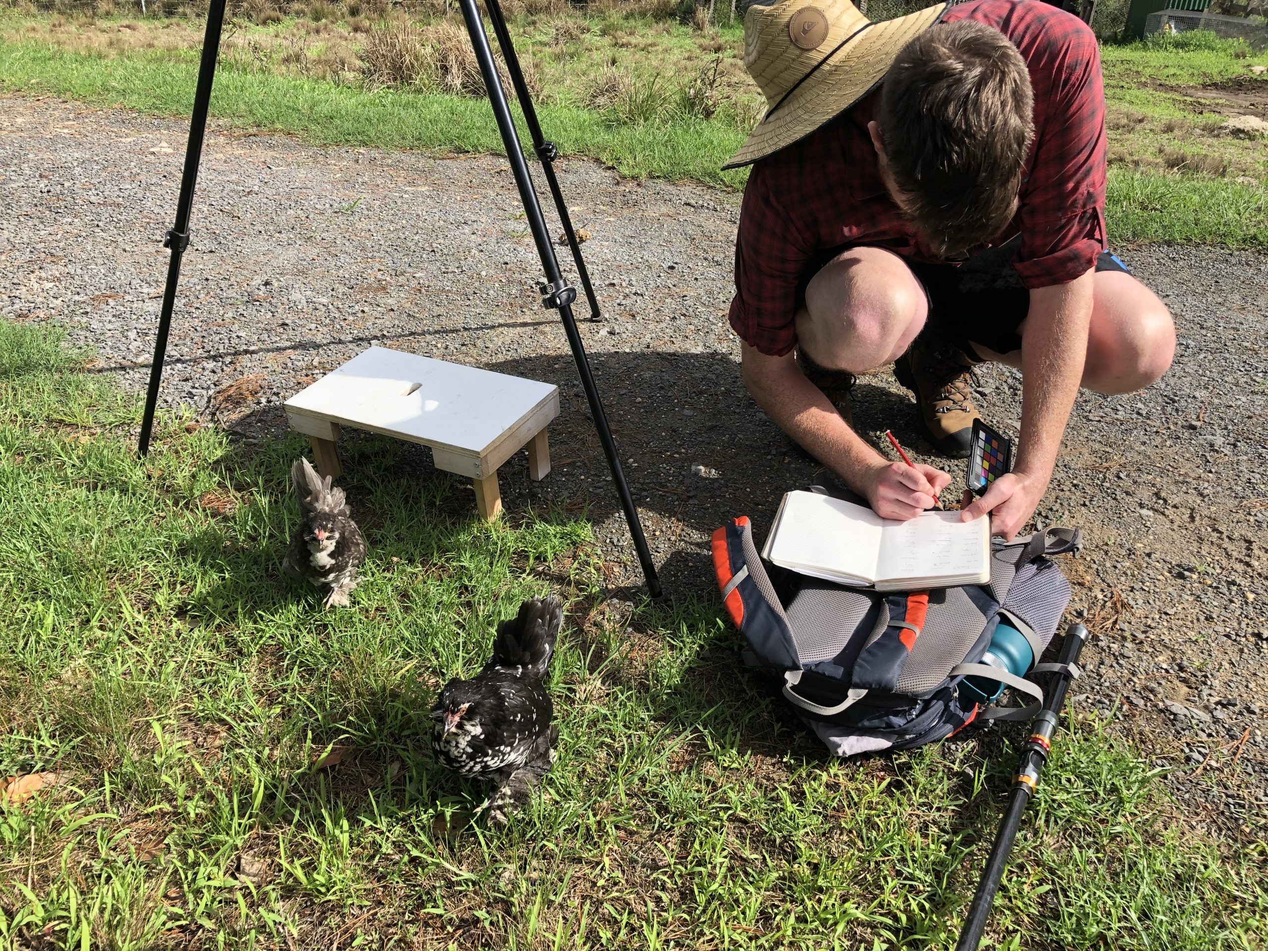 Interested observers – Animal Behaviour Group